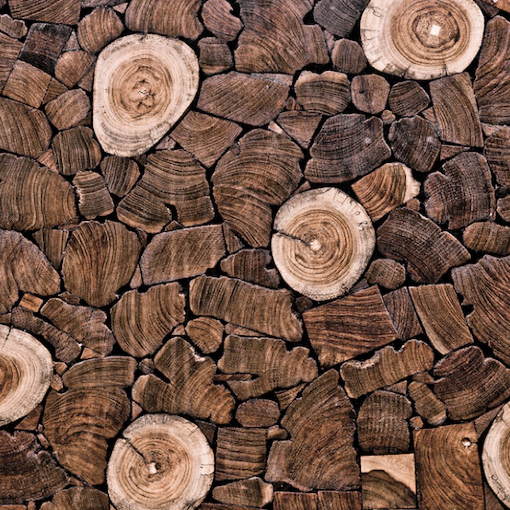 teak-caratteristiche-del-legno-blog- solid-renner - Solid Renner