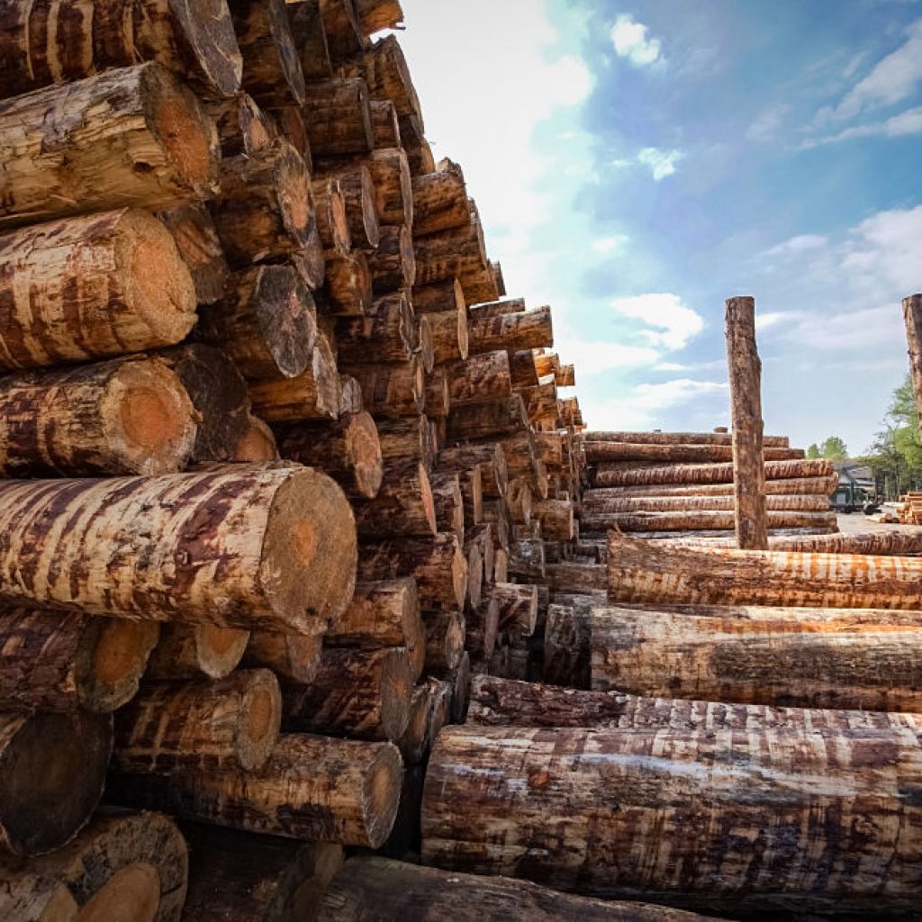 Legno in segheria - Solid Renner