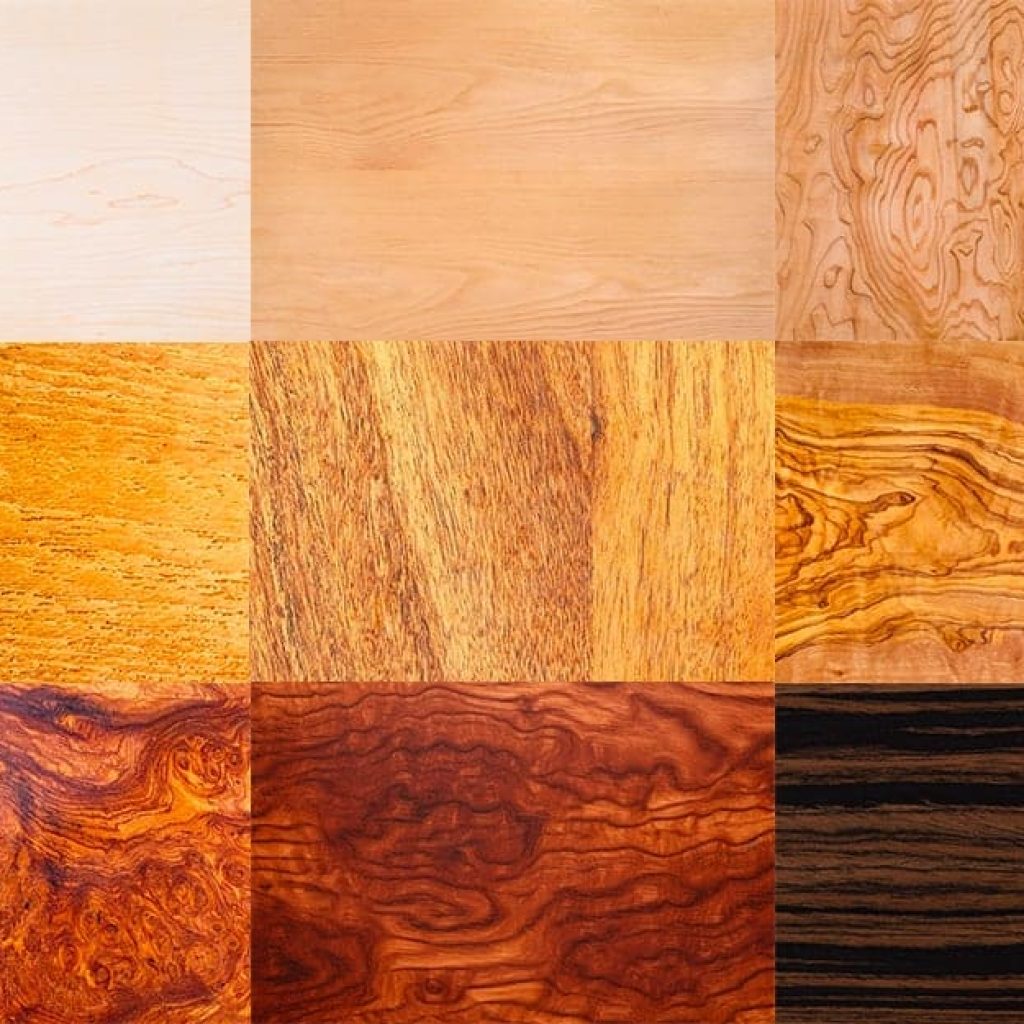 colori_del_legno - Solid Renner